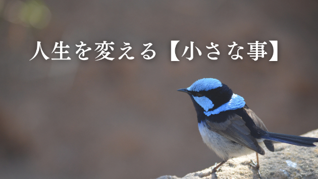 【小さなステップ】が人生を変えていく｜ノーマ NOMA｜coconalaブログ